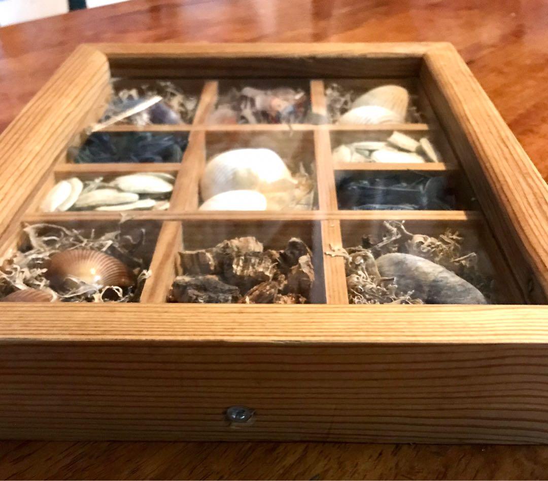 Vintage Shadow box collage art. Assorted finds- clam shells, oyster ...
