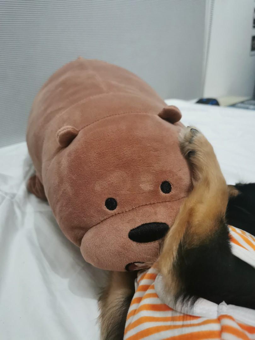 MINISO We Bare Bears Grizz Grizzly Bear Plushie, Hobbies & Toys, Toys ...