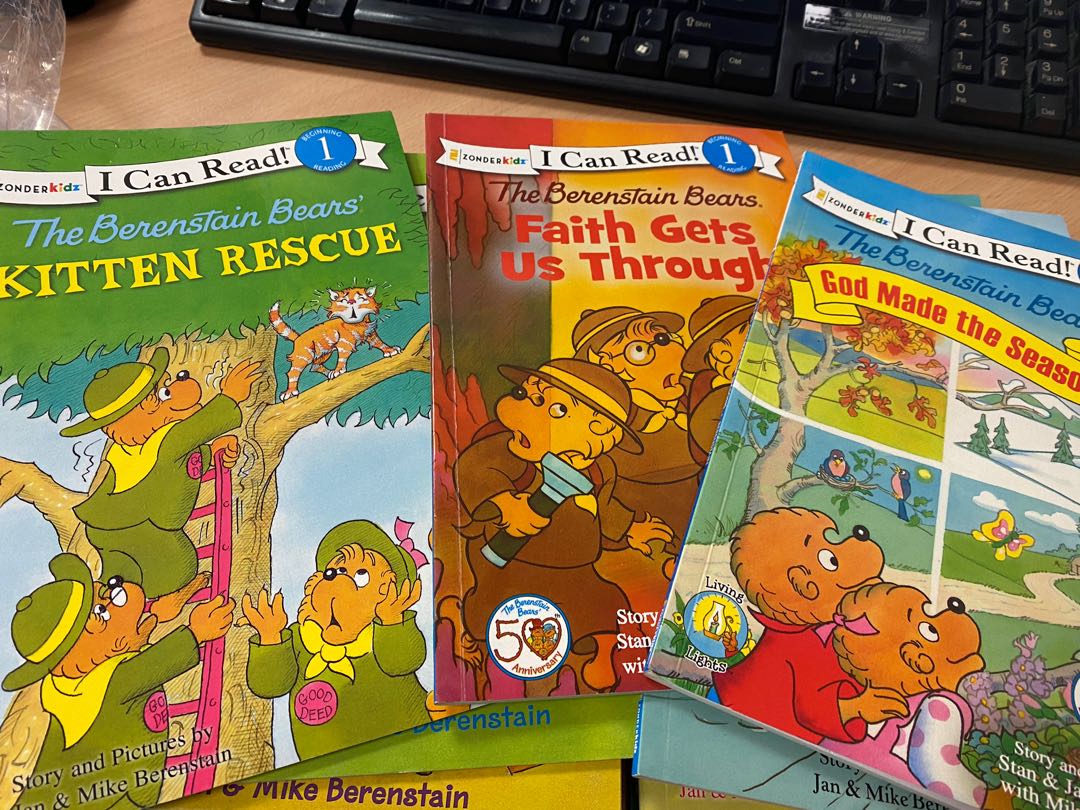 Berenstain Bear box set 25 books, Hobbies & Toys, Books & Magazines ...