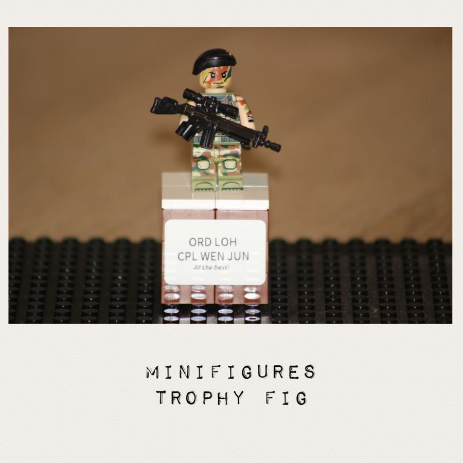 Minifigure customised trophy figurine lego, Toys & Games, Others on ...
