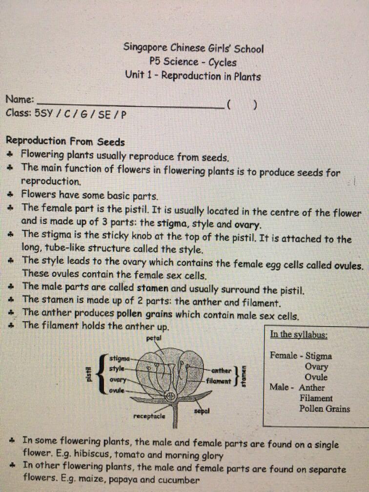 P3 / P4 / P5 / P6 / PSLE science notes / Cycles / Systems / Energy ...