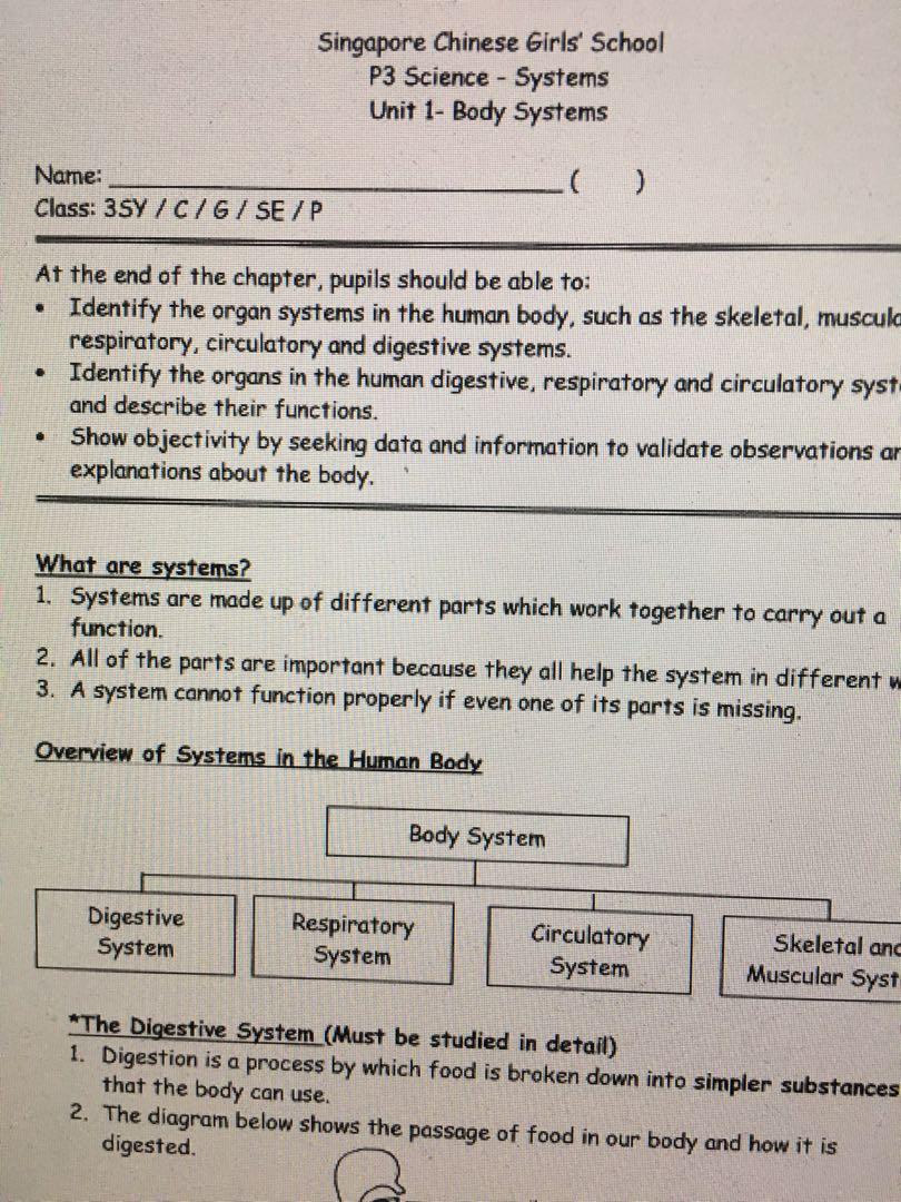 P3 / P4 / P5 / P6 / PSLE science notes / Cycles / Systems / Energy ...