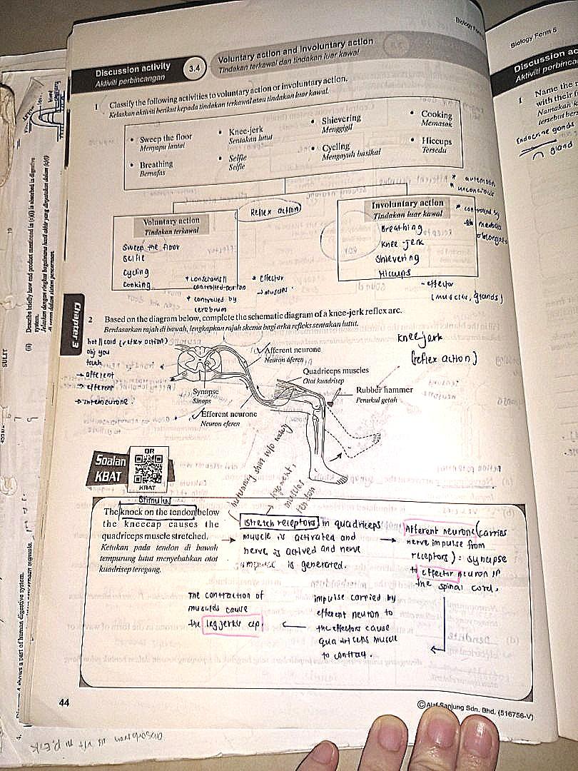 [USED] Form 5 Biology Notes, Hobbies & Toys, Books & Magazines ...