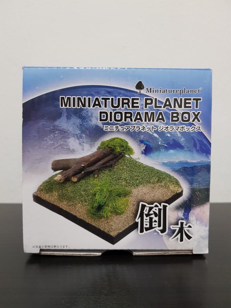 Miniature diorama box, Hobbies & Toys, Toys & Games on Carousell
