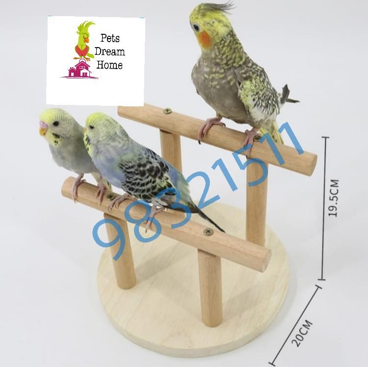 Parrot Table Stand, Pet Supplies, Homes & Other Pet Accessories on ...