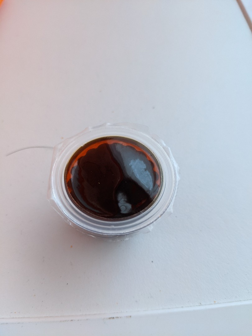 Insect Jelly for Insects (Ants / Beetles and etc), Pet Supplies, Pet ...