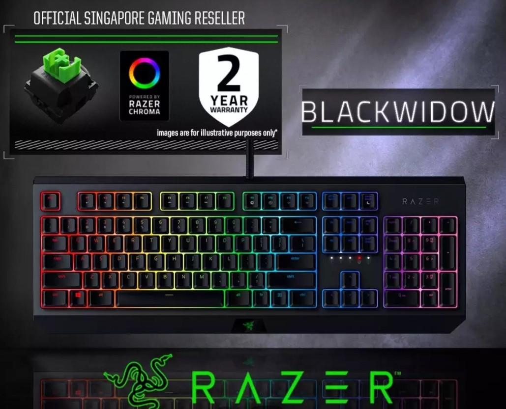 Razer Blackwidow Mechanical RGB Gaming Keyboard (Green) PC Keyboard ...