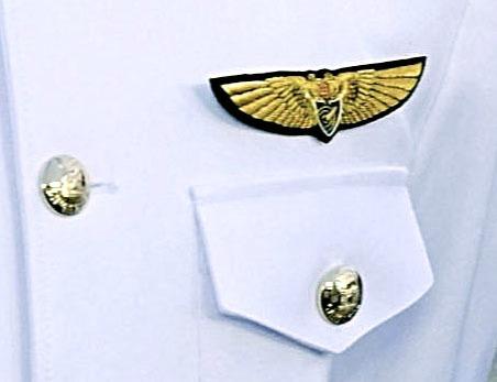 WTB: RSAF AWO Badge for No 1 Uniform, Bulletin Board, Looking For on ...