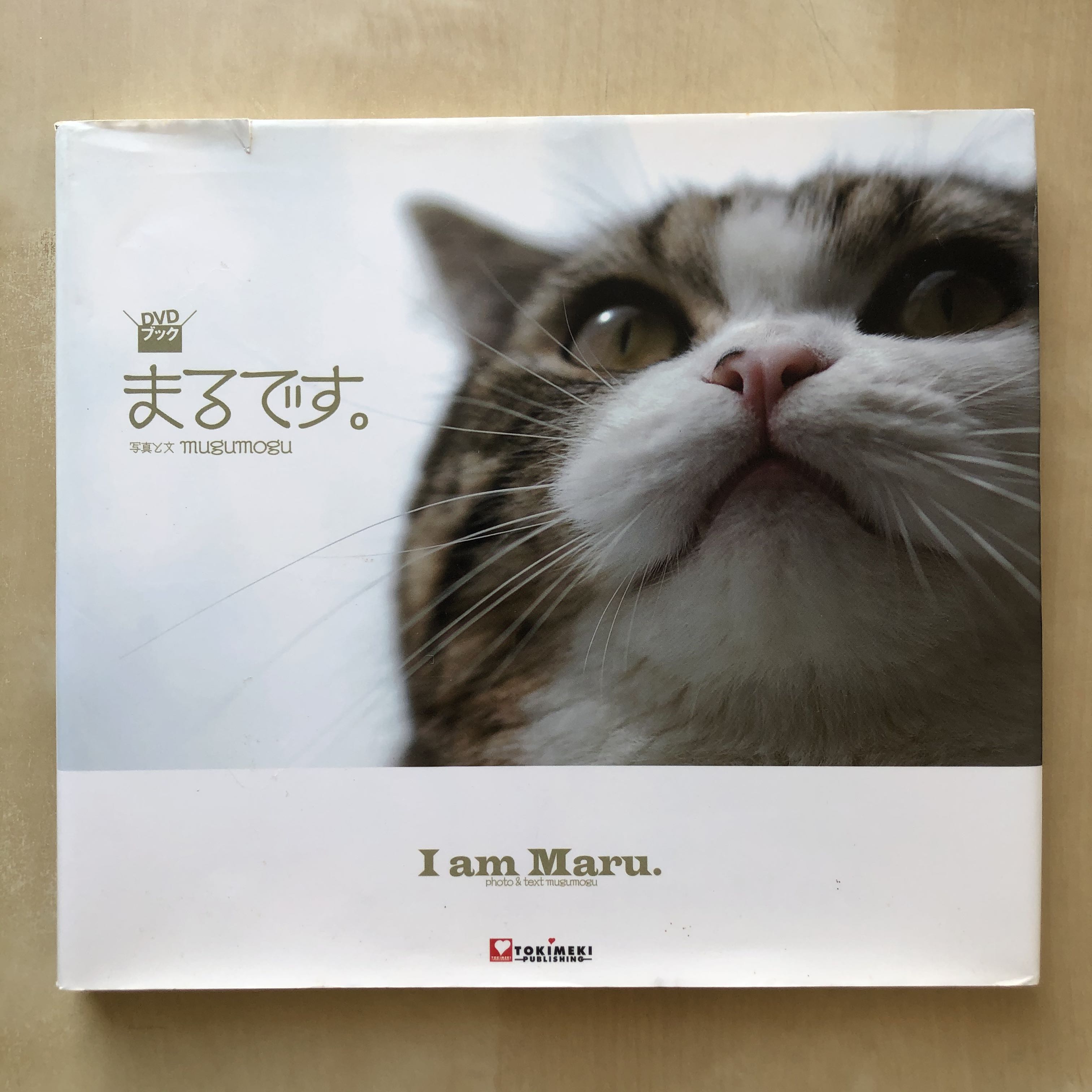 寫真丨I am Maru 日本人氣貓, 興趣及遊戲, 手作＆自家設計, 文具 - Carousell