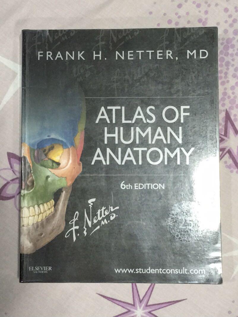 Netter’s Atlas of Human Anatomy 6th Ed., Hobbies & Toys, Books ...