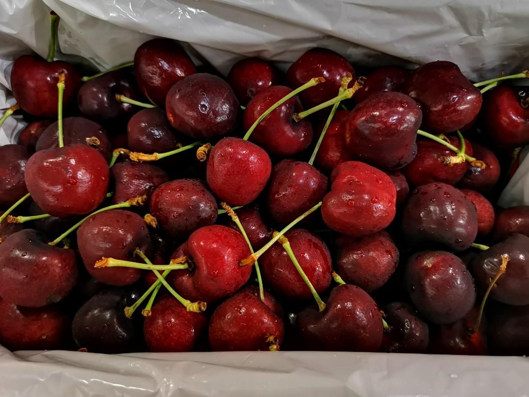 New Zealand J&P Turner Jumbo Cherries, Food & Drinks, Local Eats on ...
