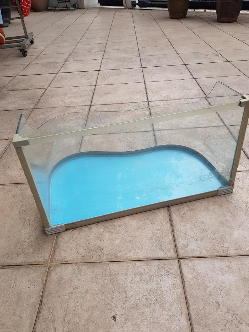 Curvy Fish Tank, Pet Supplies, Homes & Other Pet Accessories on Carousell