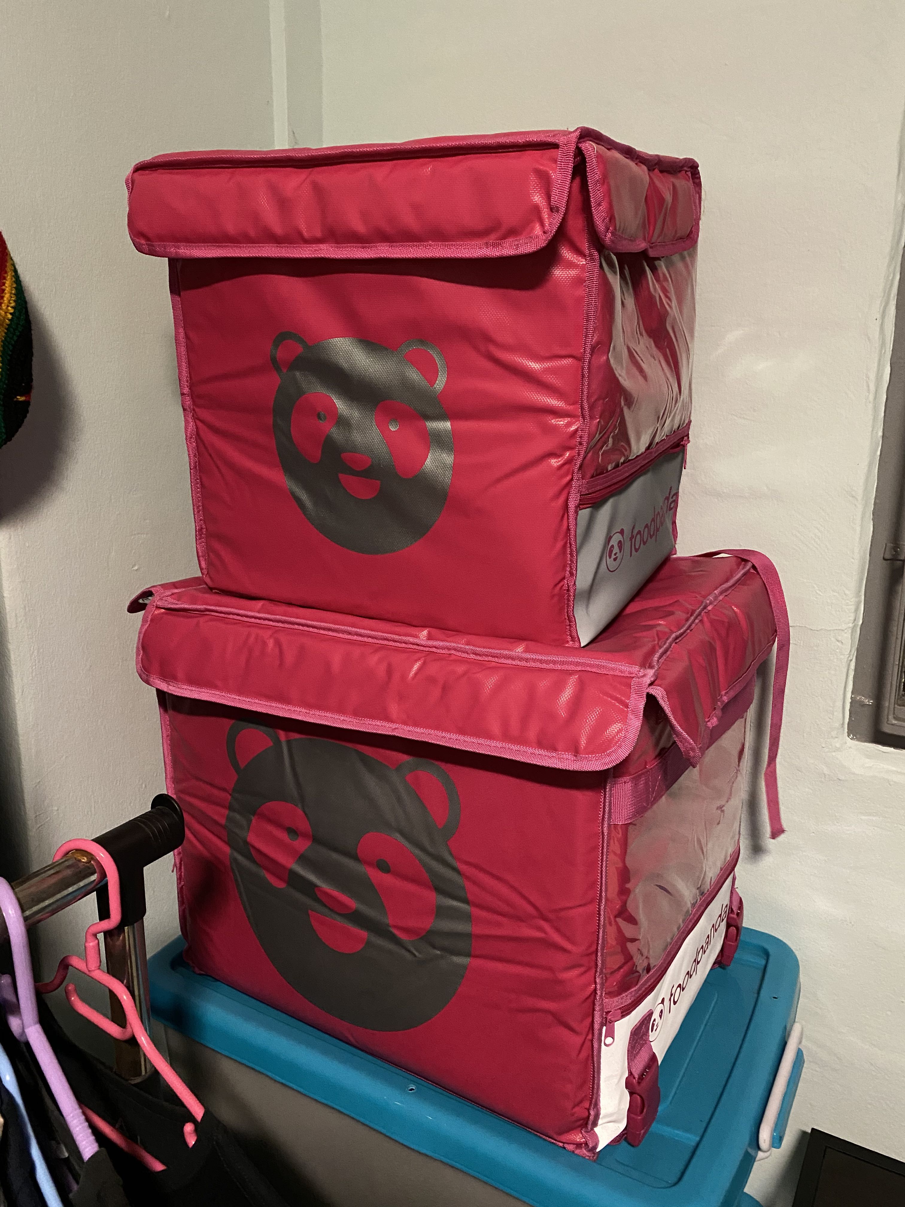 Foodpanda Delivery Bag, Everything Else on Carousell