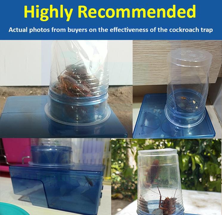 Non Toxic Reusable Cockroach Trap / Catcher Cockroach Trap Cockroach ...