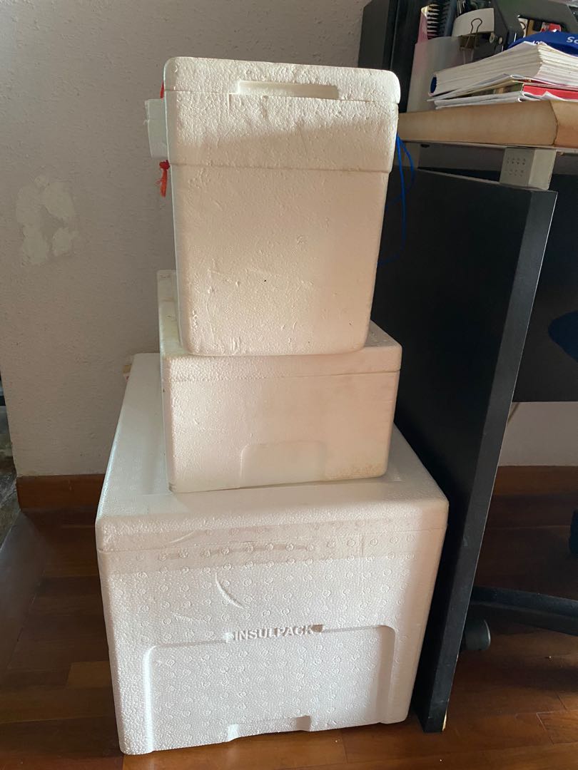 Styrofoam boxes, Everything Else on Carousell