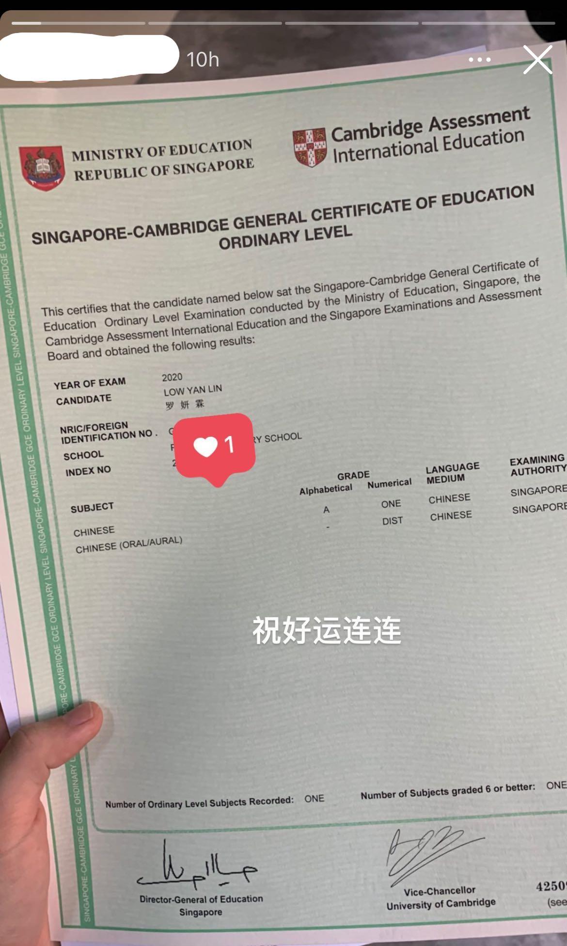 Best Chinese Notes (Paper 1, Composition Essay Writing for Secondary O ...