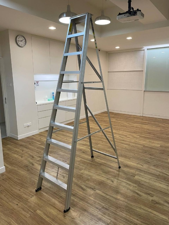 LADDERMENN Heavy Duty 10 steps Ladder, Furniture & Home Living ...