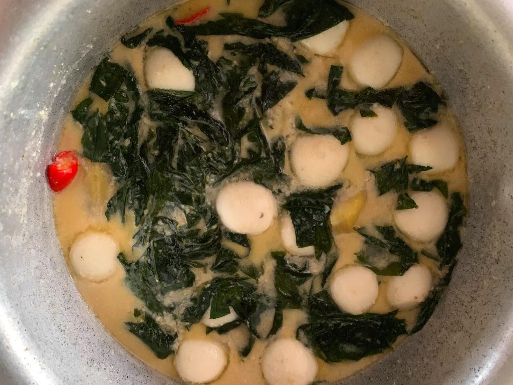 Mani Cai / Sayur Manis / Pucuk Manis / Cekur Manis, Furniture & Home ...