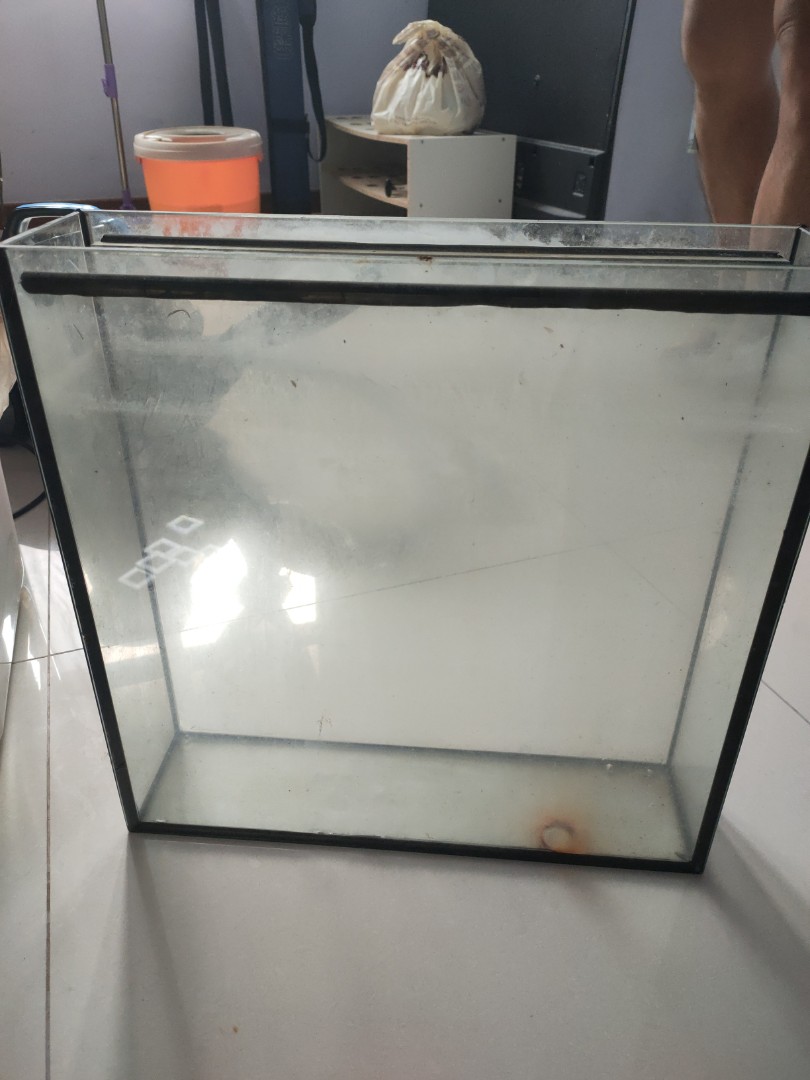 Auto top-up tank, Pet Supplies, For Fish, Fish Tanks on Carousell