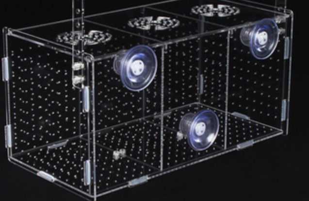 Breeding Tank 30x15x15 (3 compartment), Tank Divider, Pet Supplies, For ...