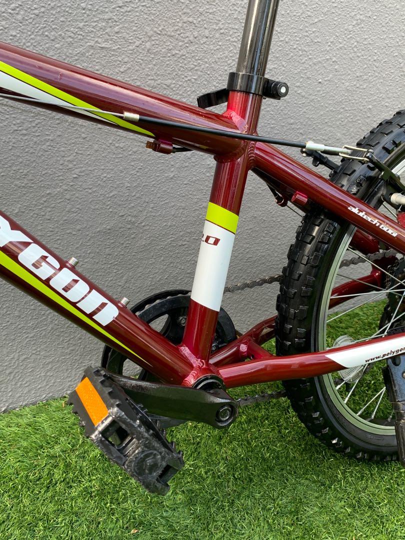 Polygon Relic 20” Kids Bike (Suspension, Disc Brake), Bicycles & PMDs ...