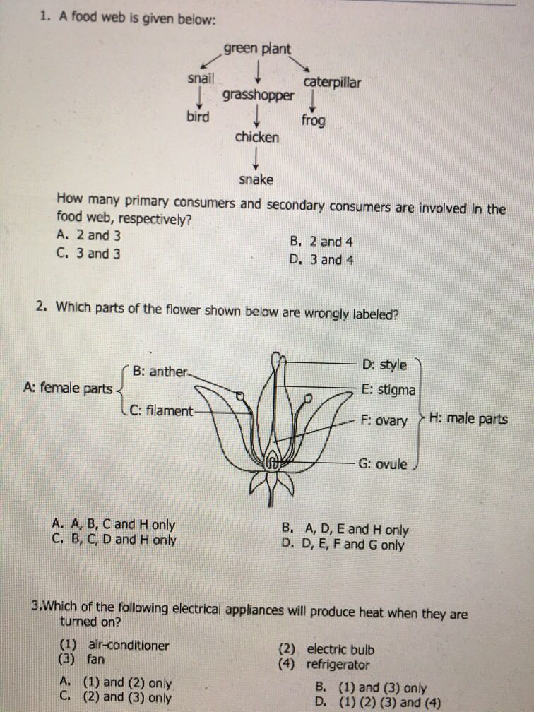 Science Olympiad | Primary school science | Science| Math | IMSO ...