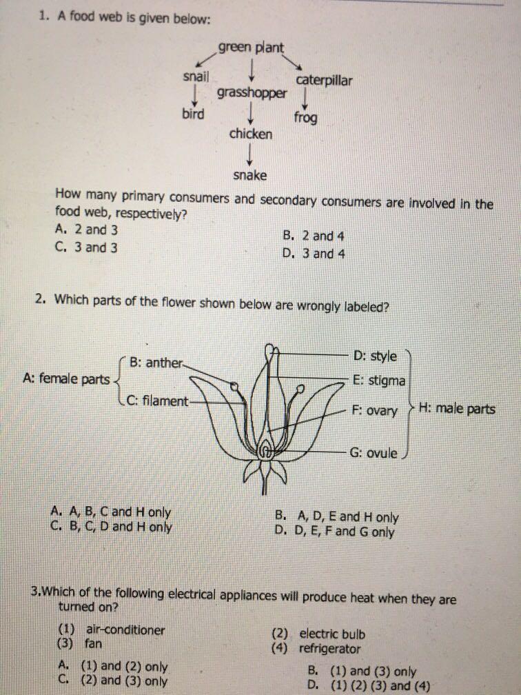 Science Olympiad | Primary school science | Science| Math | IMSO ...