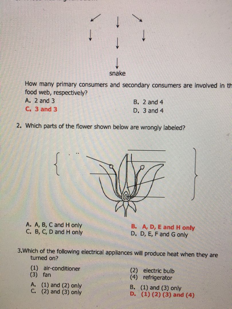Science Olympiad | Primary school science | Science| Math | IMSO ...