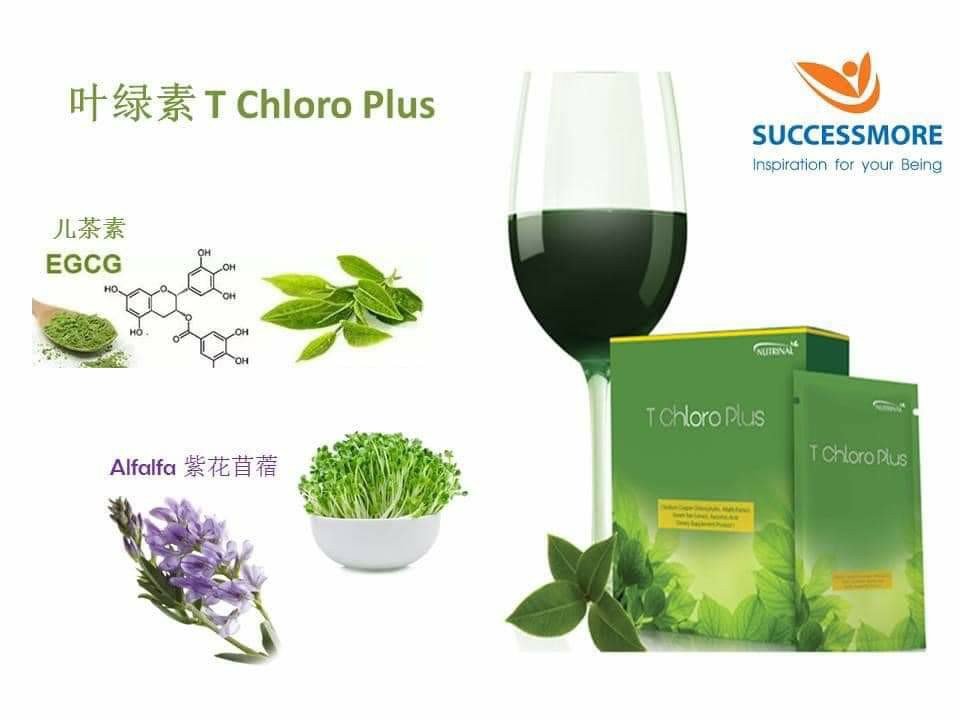 T Cloro Plus(Supplements), Everything Else on Carousell