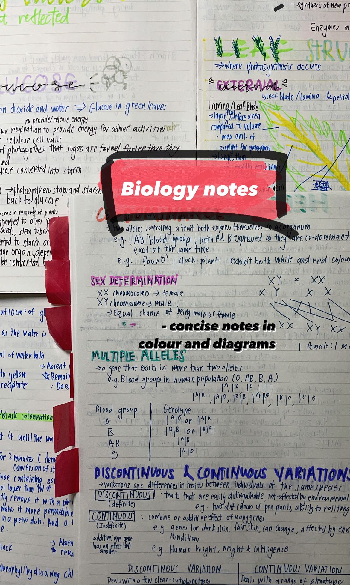Biology O level Notes Sec 3 and 4, Hobbies & Toys, Books & Magazines ...