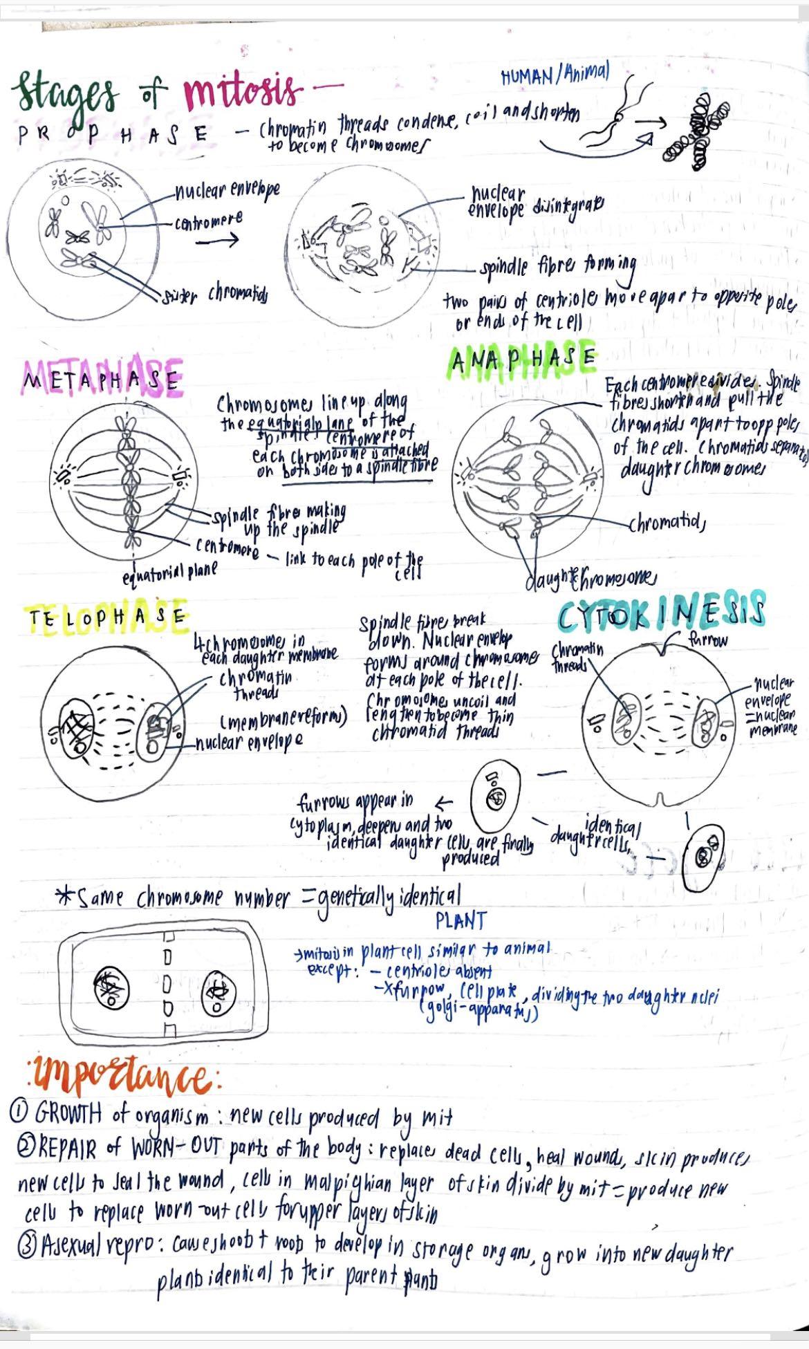 Biology O level Notes Sec 3 and 4, Hobbies & Toys, Books & Magazines ...