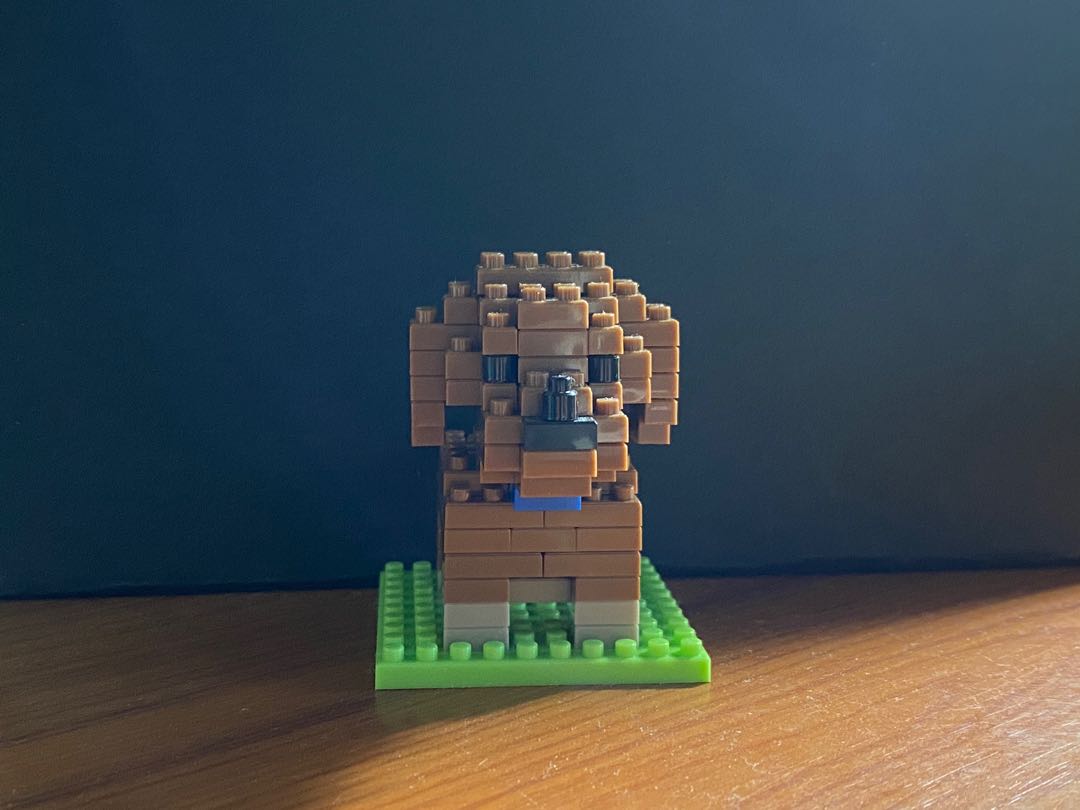 Daiso lego (animal), Hobbies & Toys, Toys & Games on Carousell