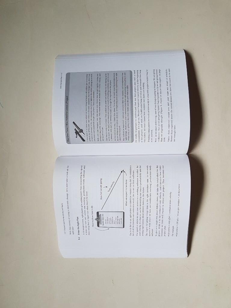 THE AGILE SAMURAI: HOW AGILE MASTERS DELIVER GREAT SOFTWARE, Books ...