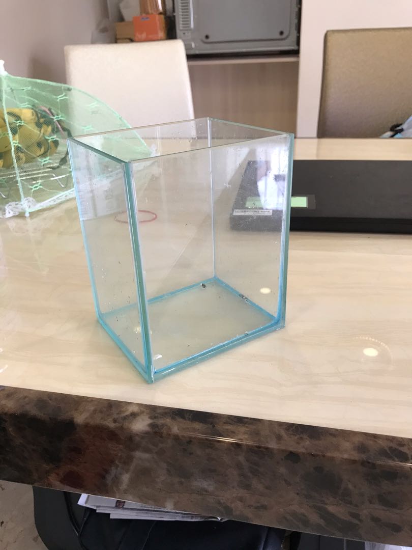 2 small Glass Tanks For Betta Fish Guppy, Pet Supplies, Homes & Other ...