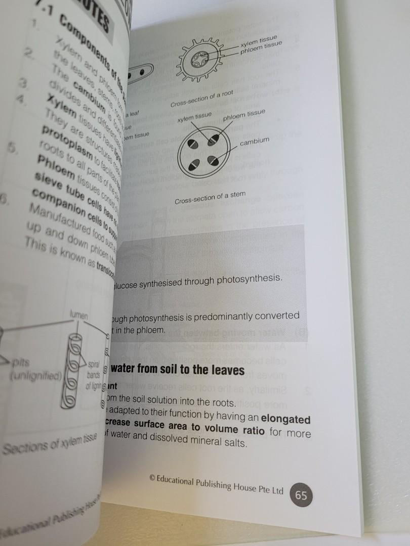 O Level Biology Topical Notes Summary Handbook, Hobbies & Toys, Books ...