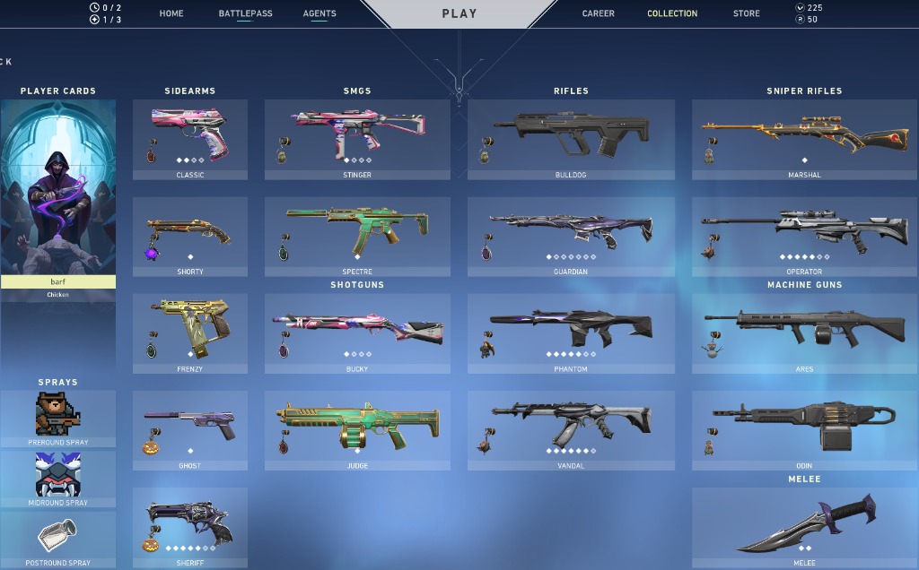 Reaver Collection Valorant Account, Video Gaming, Gaming Accessories ...