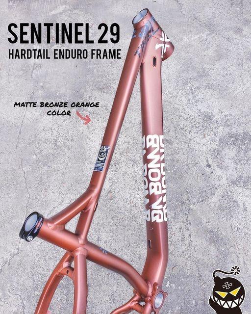 DA BOMB MTB Frame - Sentinel 29er Boost (Enduro - Hardtail) , Sports ...