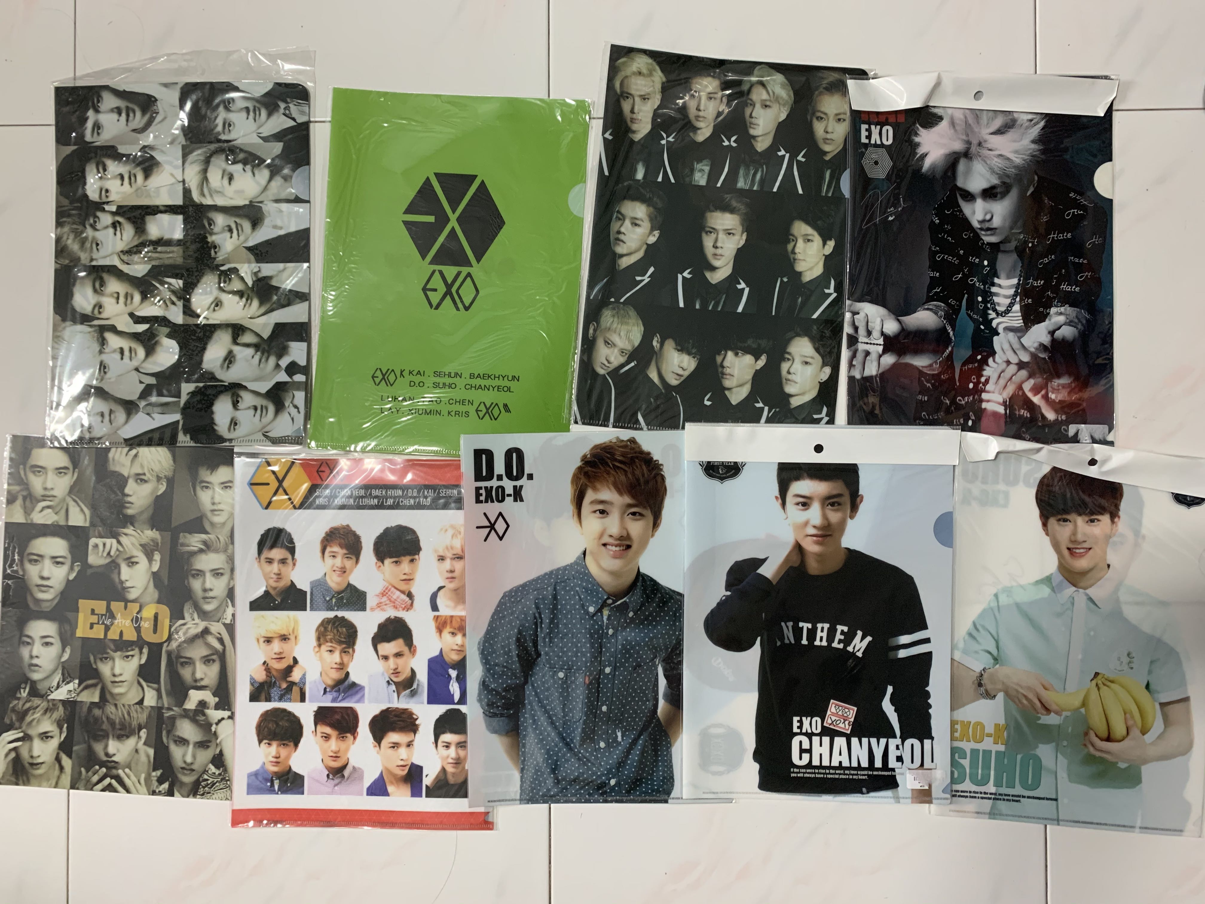 EXO Files, Hobbies & Toys, Memorabilia & Collectibles, K-Wave on Carousell