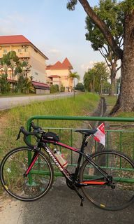 Specialised Amira Road Bike, Sports Equipment, Bicycles & Parts, Bicycles on Carousell