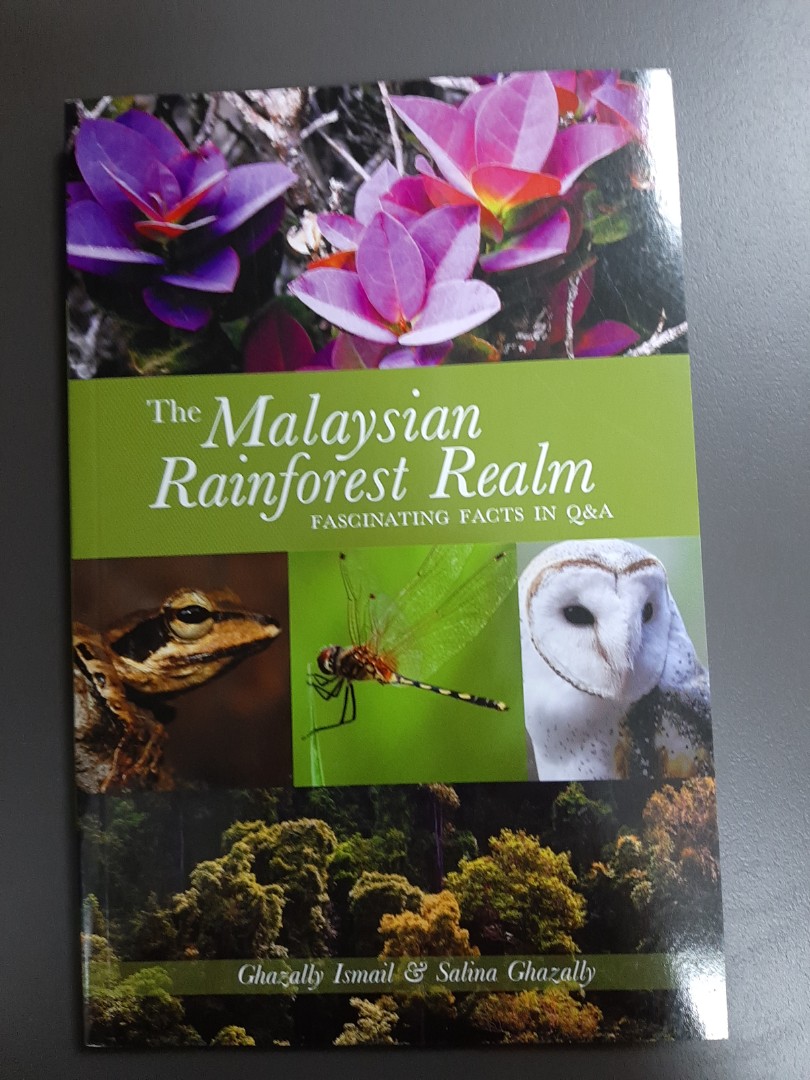 The Malaysian Rainforest Realm, Hobbies & Toys, Books & Magazines ...