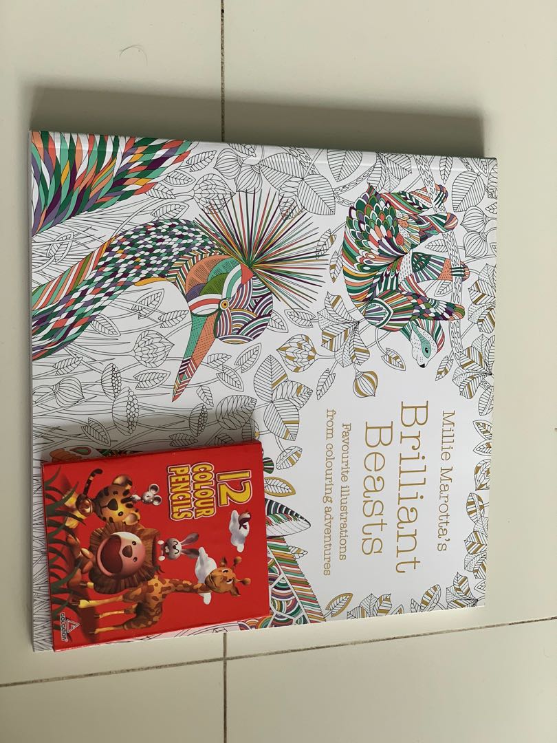 Brand new Colouring book with colour pencils, Hobbies & Toys ...