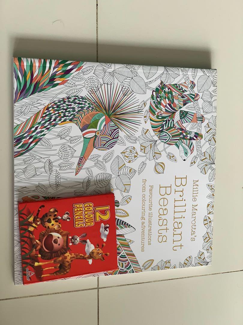 Brand new Colouring book with colour pencils, Hobbies & Toys ...