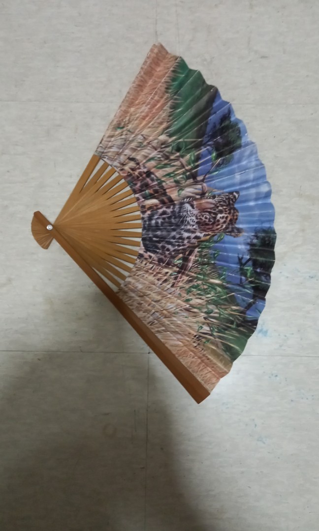 Folding Fan ( Paper ), Hobbies & Toys, Stationery & Craft, Stationery ...