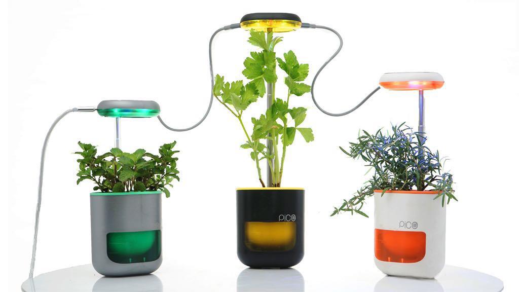 Pico Planter - Self Watering Plant Containment System, install Anywhere ...