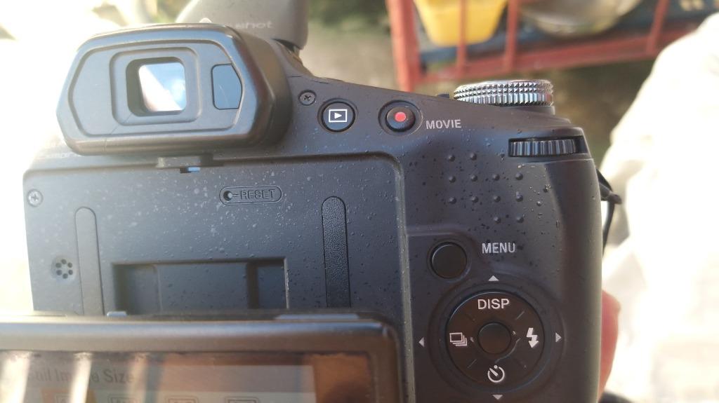 Sony Digital Camera 1080p 60fps video recording tilting screen good for ...