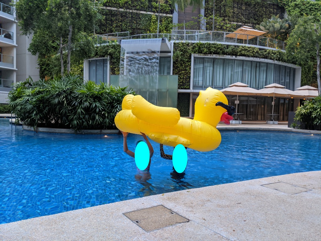 Giant Duck Floaty, beach toy, Sports Equipment, Sports & Games, Water ...