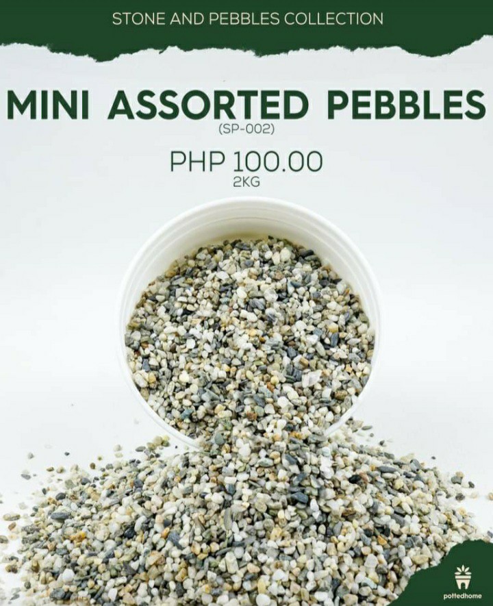 SP-002 MINI ASSORTED PEBBLES, Furniture & Home Living, Gardening ...