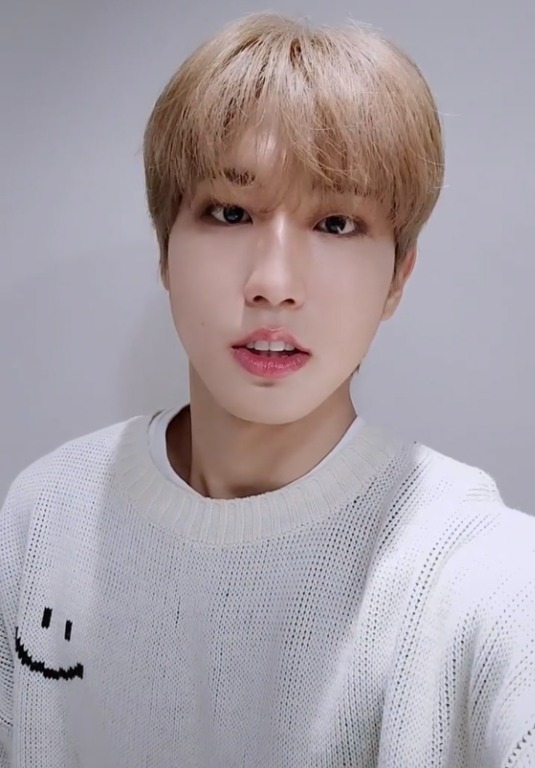 STRAYKIDS HAN JISUNG SMILE FACE KNIT, Hobbies & Toys, Memorabilia ...