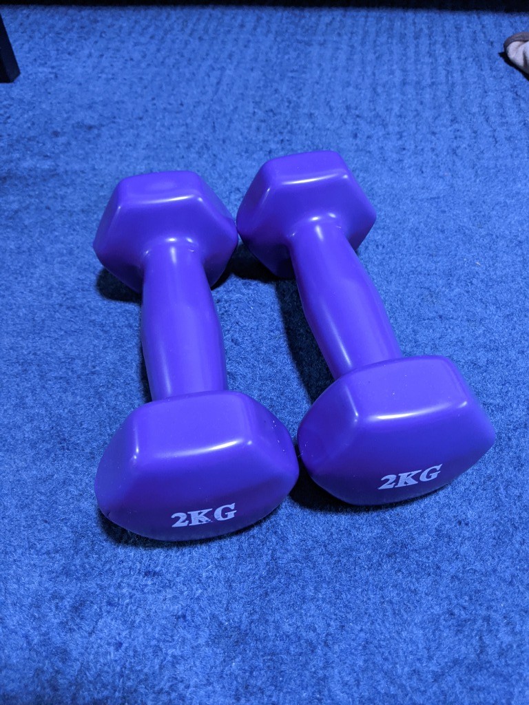 Weights Mini Dumbbell, Sports Equipment, Exercise & Fitness, Weights ...