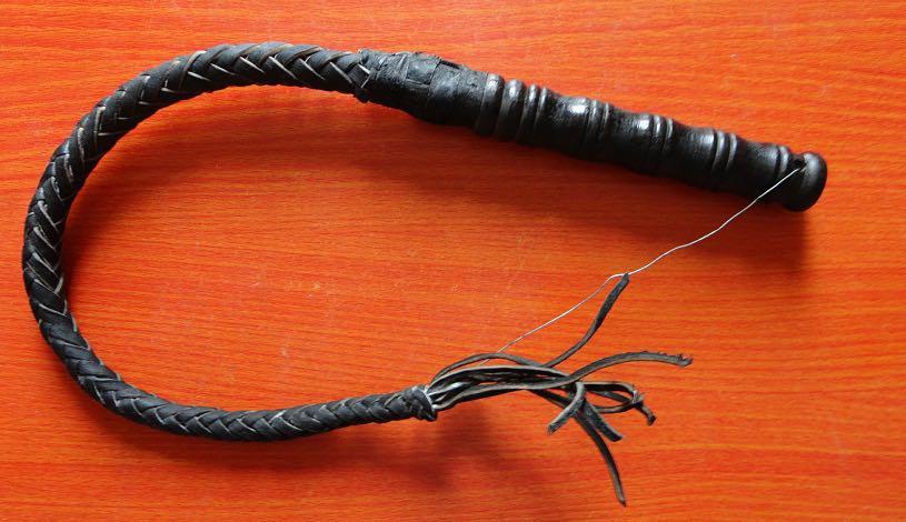 Whip, Everything Else on Carousell